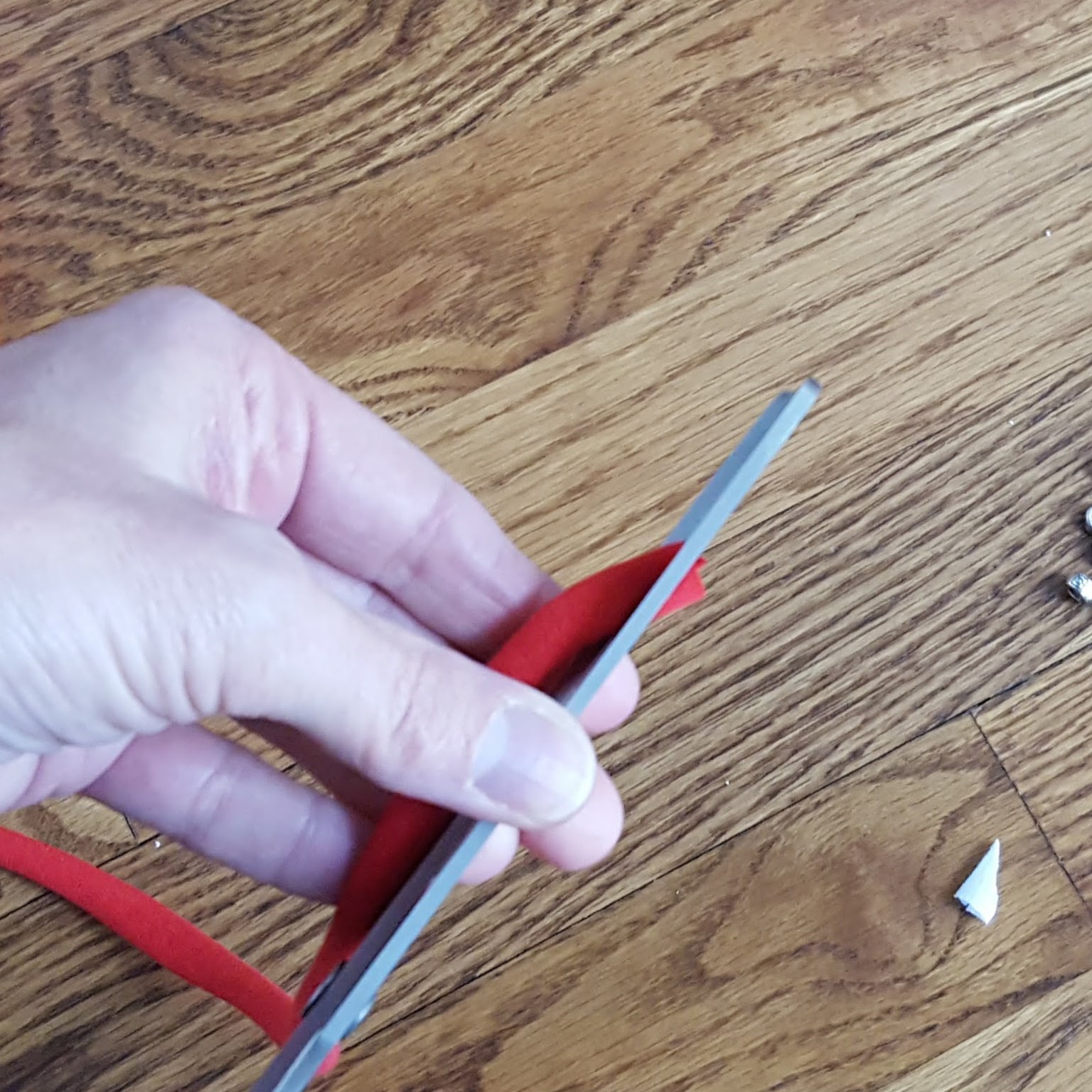 Pic 8c – Team Colors By Carrie