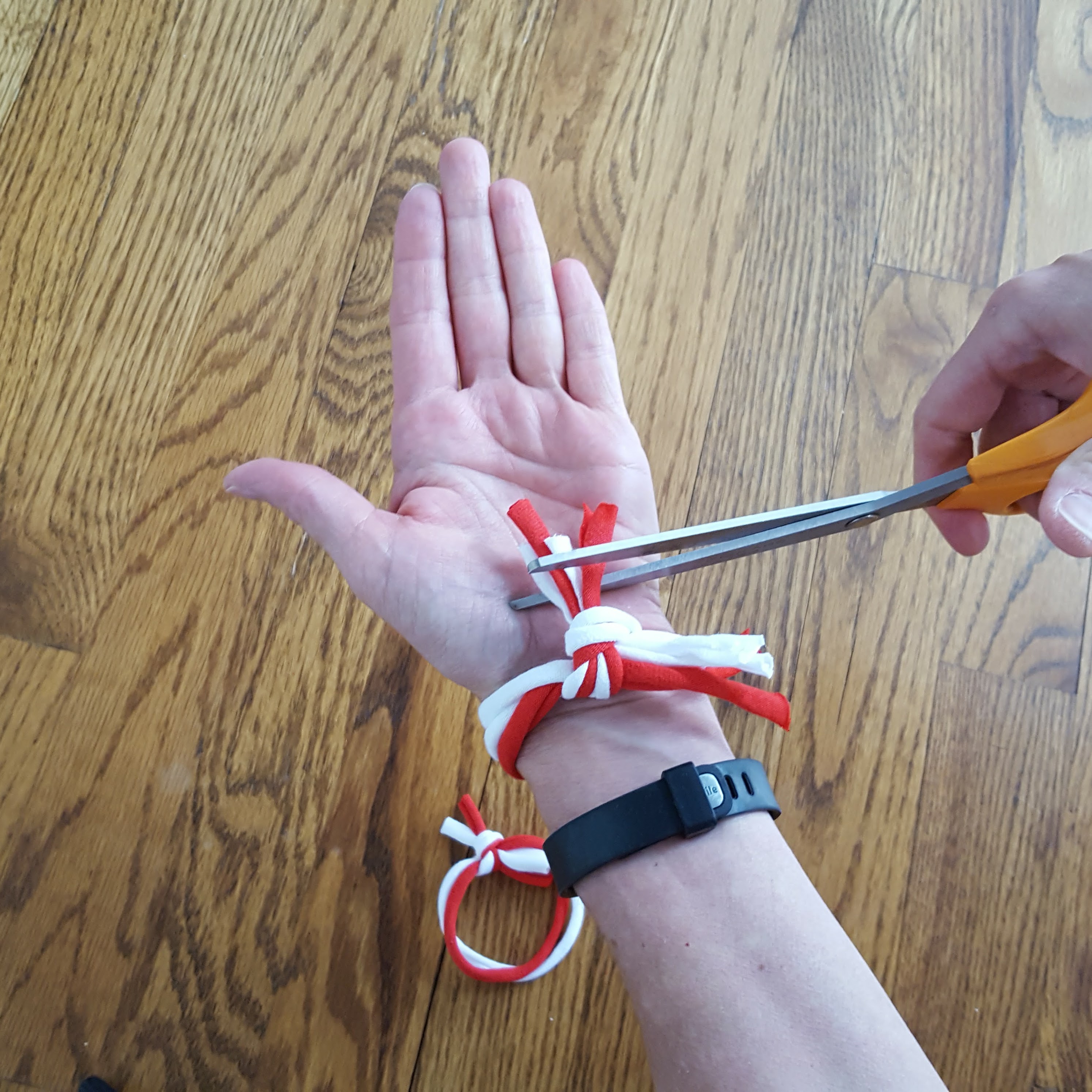 Pic 8e – trim – Team Colors By Carrie