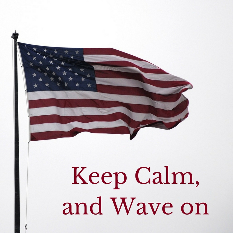 The 10 Best Quotes to Get You Feeling Patriotic – Team Colors By Carrie