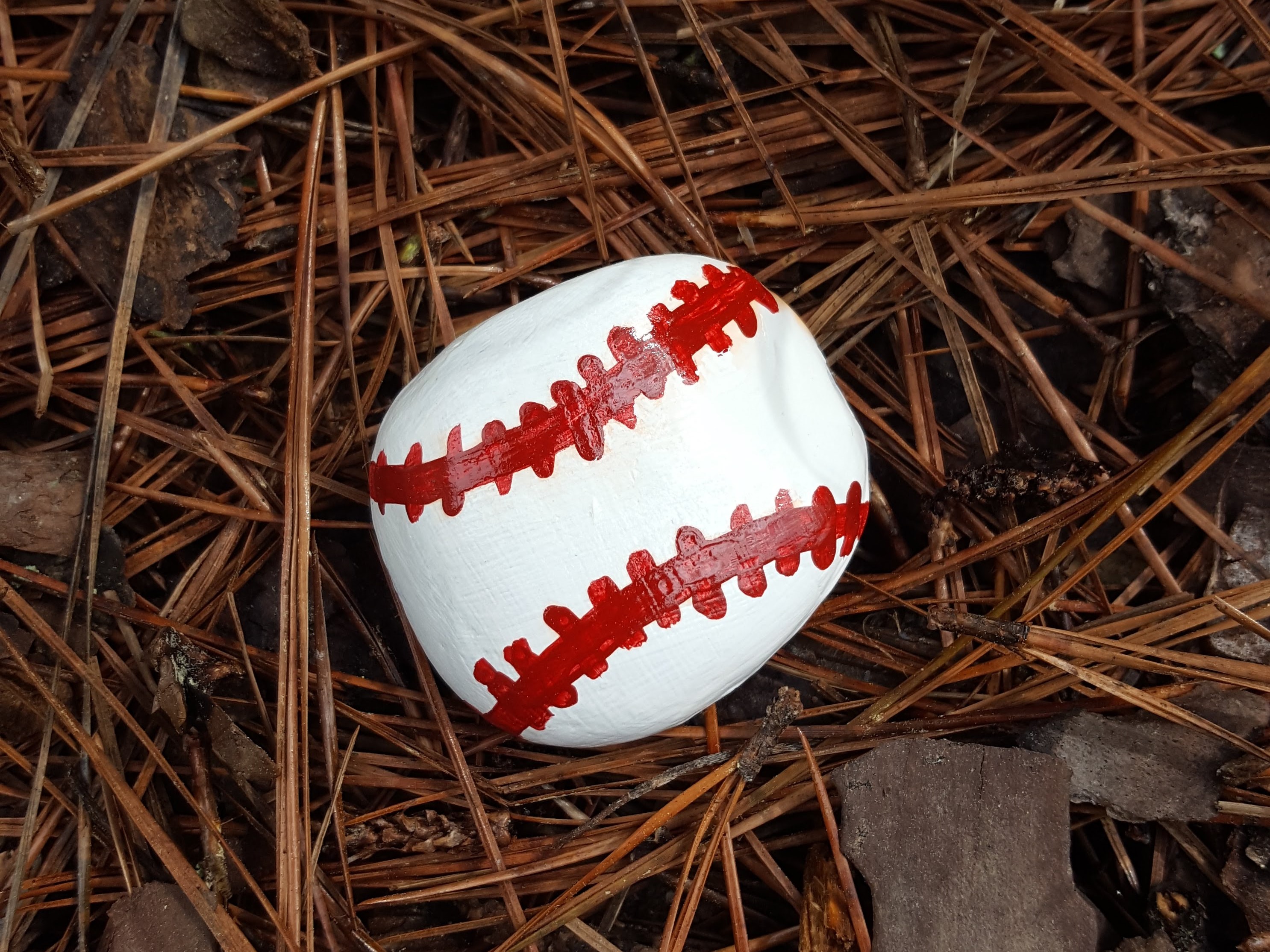 How to Paint Rocks for the Baseball Fan – Team Colors By Carrie