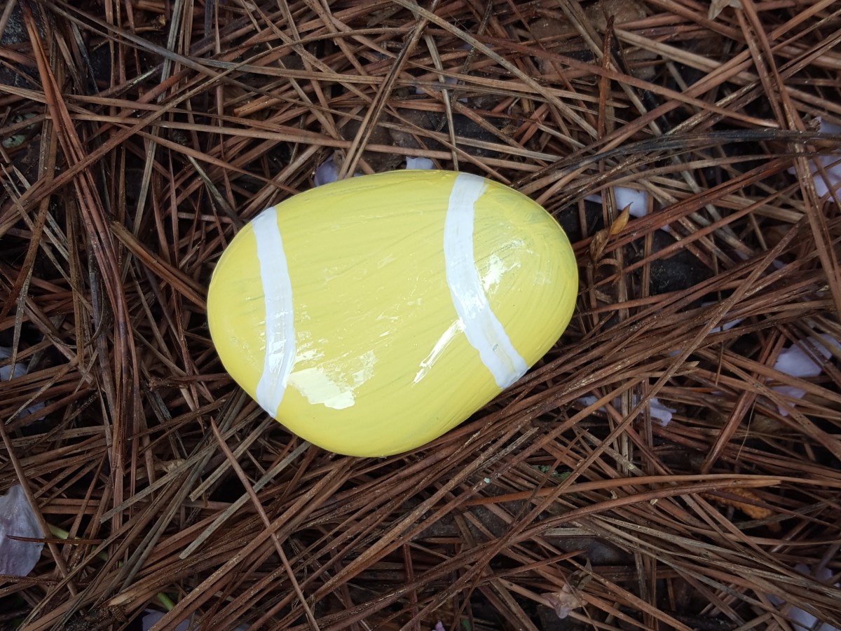 How to Paint Rocks for the Softball Fan – Team Colors By Carrie