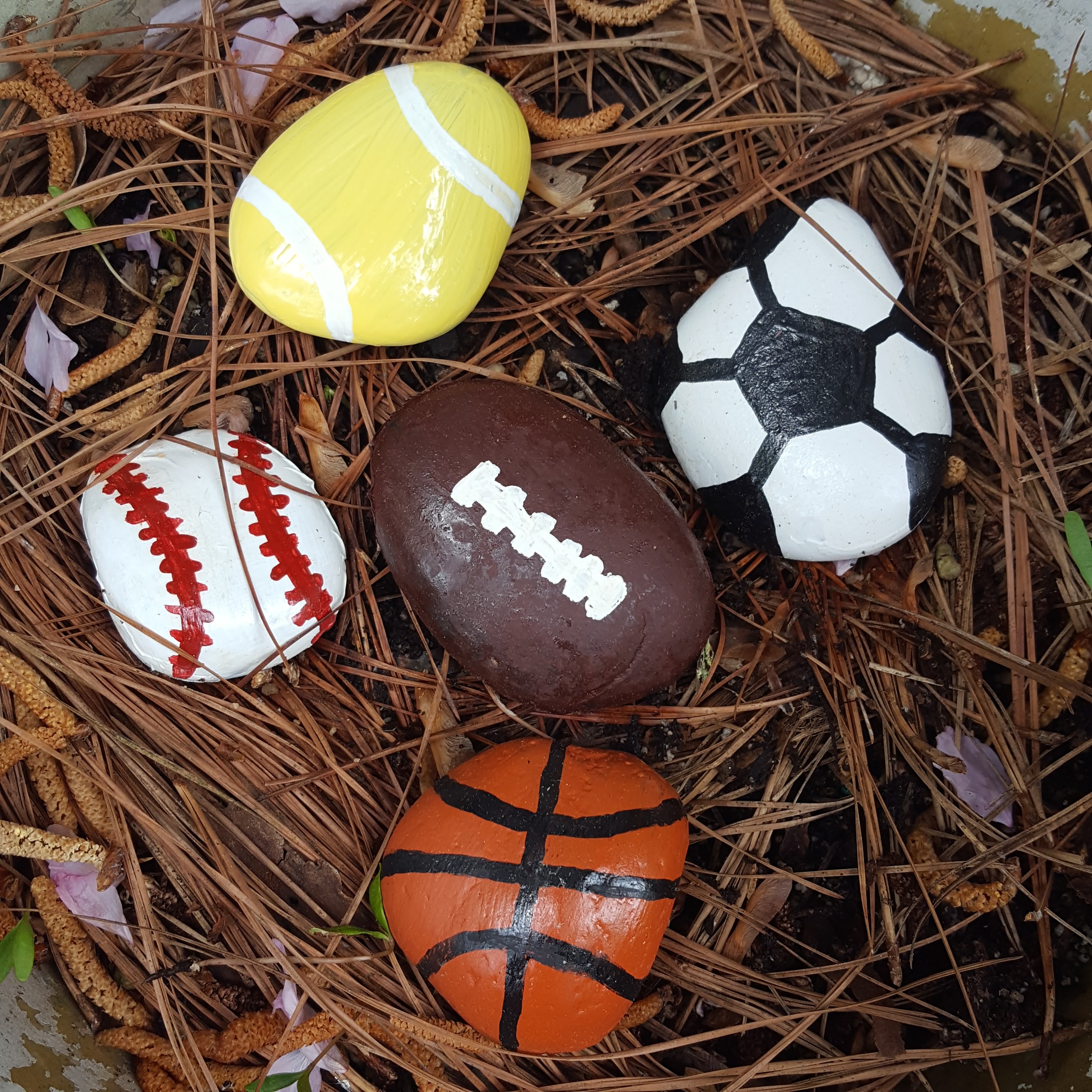 How to Paint Rocks for the Football Fan – Team Colors By Carrie