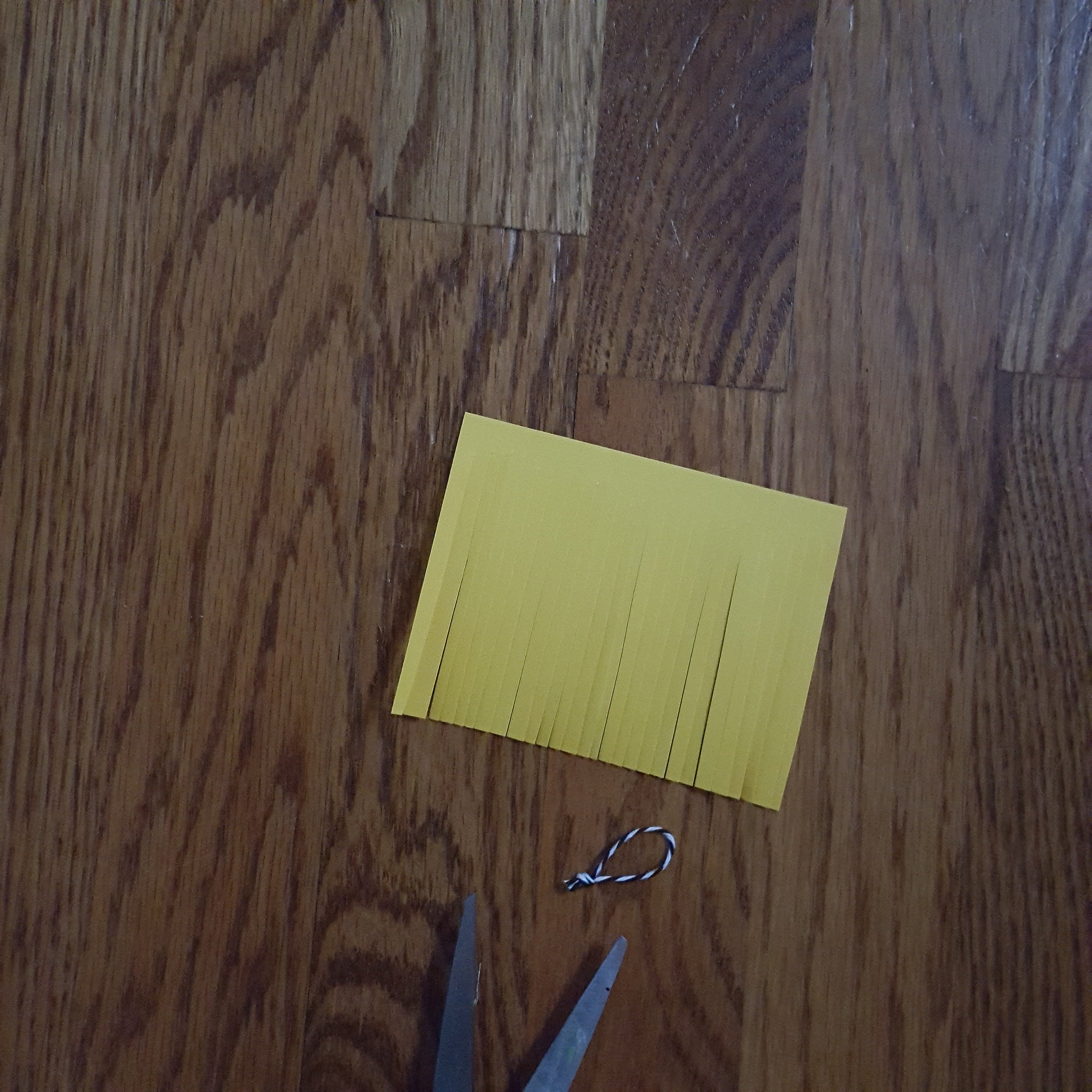 How to Make Paper Tassels to Decorate your Packages – Team Colors By Carrie