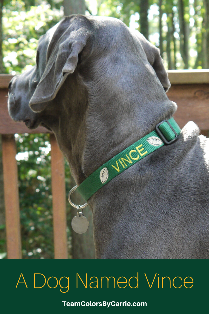 Why a dog named Vince? – Team Colors By Carrie