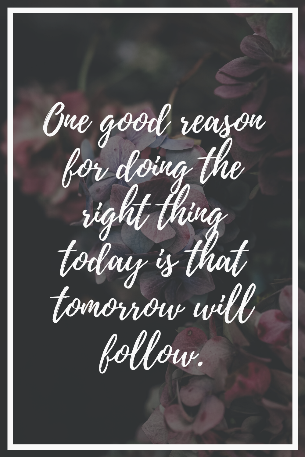 Why Do I Share So Many Quotes All Of The Time? – Team Colors By Carrie