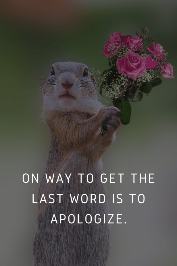 Why Do I Share So Many Quotes All Of The Time? – Team Colors By Carrie