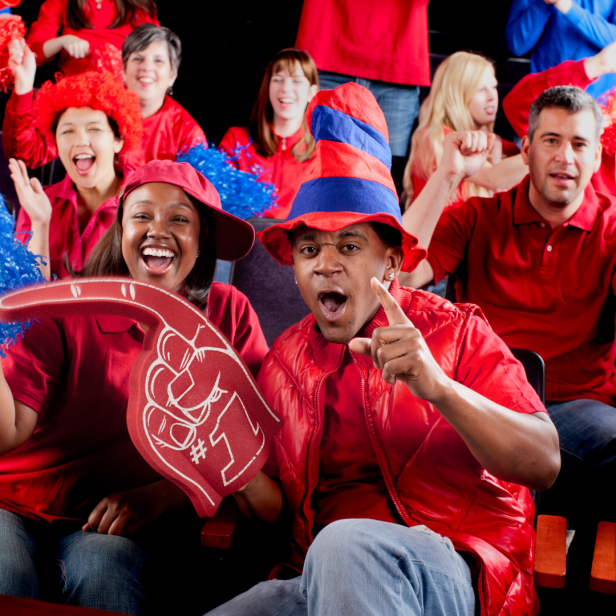 5 Ways To Know If You Are A Sports Fanatic – Team Colors By Carrie