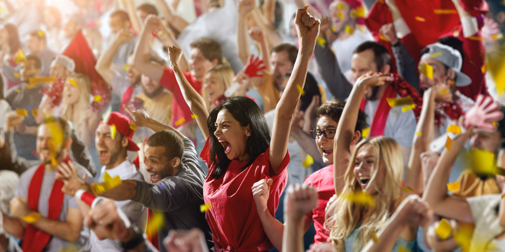 Why are Sports Fans so Passionate about Sports? – Team Colors By Carrie